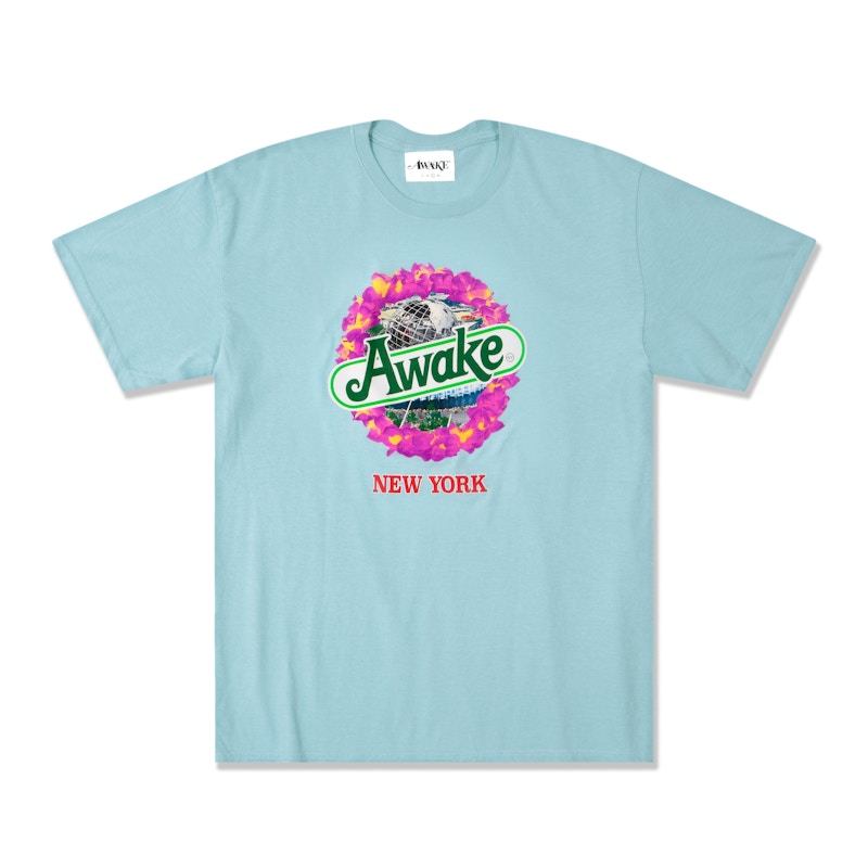 Awake Strawberry Kiwi T-shirt Glacier Men's - FW20 - US