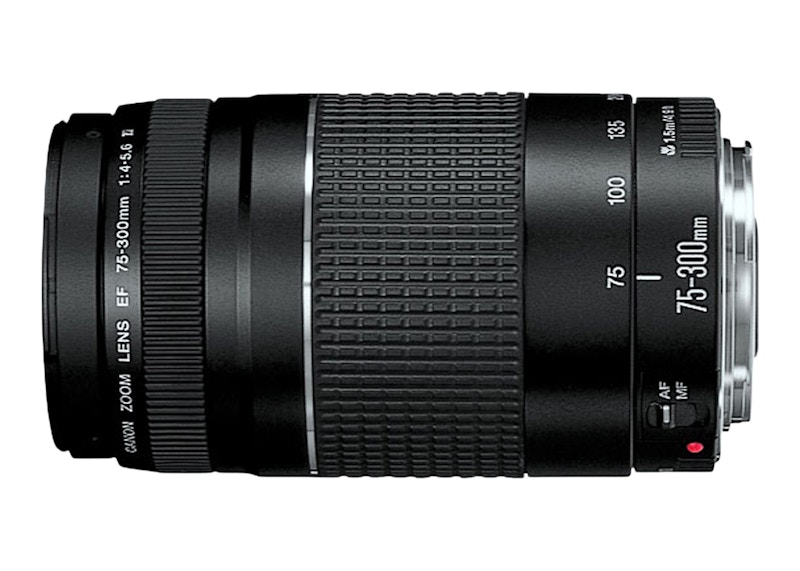 Canon EOS Rebel T7 DSLR Camera with EF18-55mm + EF 75-300mm Double Zoom ...