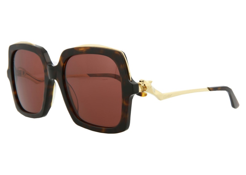Cartier Square Sunglasses Havana/Gold/Red (CT0117S-30003112-002) in ...