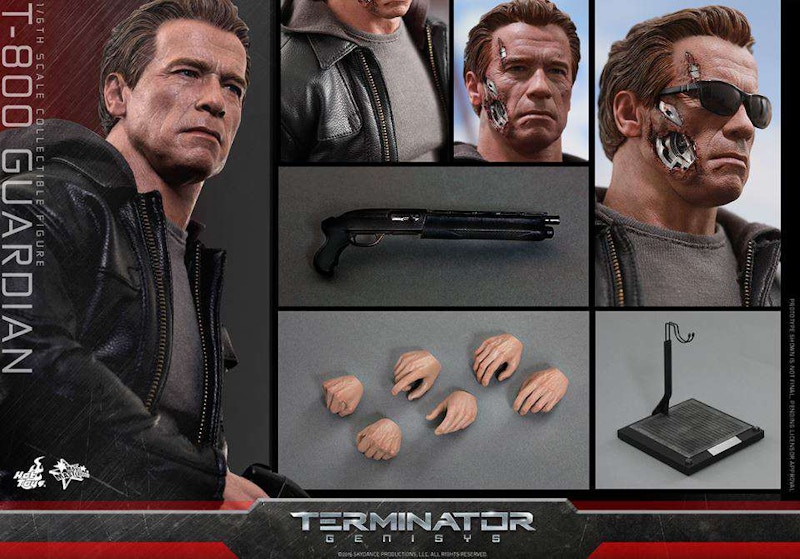 Hot Toys Terminator: Genisys Guardian T-800 Collectible Figure - US