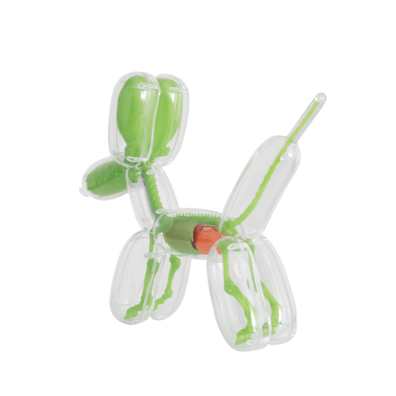 Jason Freeny Balloon Dog Anatomy (GID Edition) - US