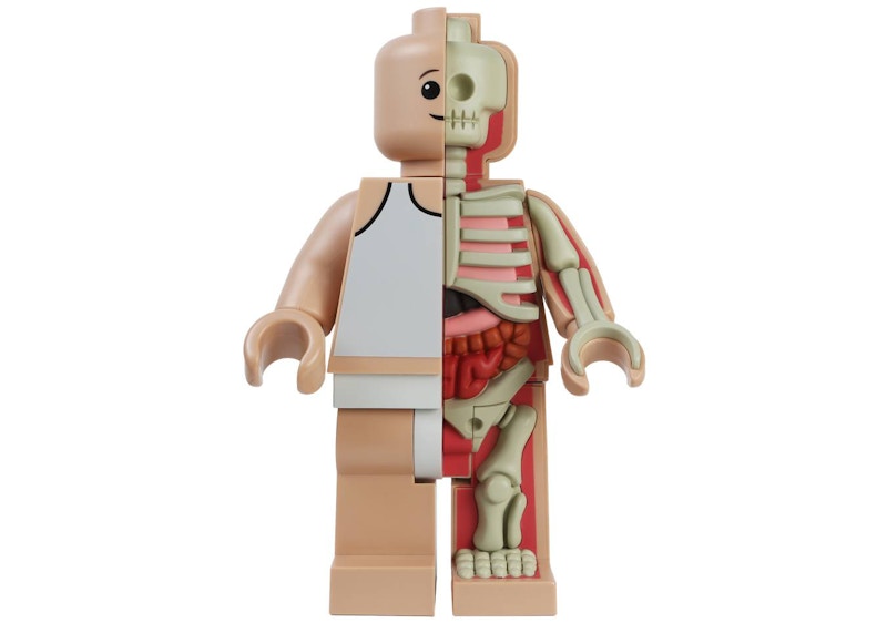 Jason Freeny Mighty Jaxx Bigger Micro Anatomic Schematic Figure - US