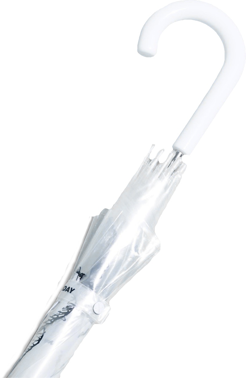 KAWS Holiday Companion Umbrella Clear - US