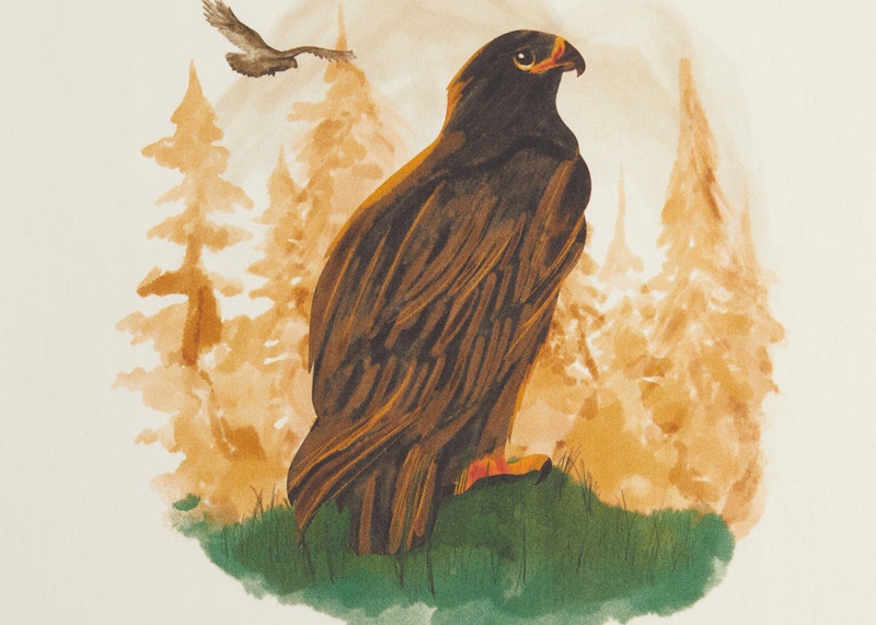 Kith x Columbia Eagle Illustration Vintage Tee History Men's - SS24 - US