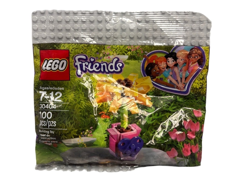 LEGO Friends Friendship Flower Set 30404 - IT