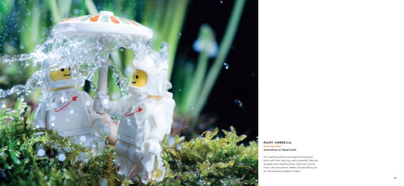 LEGO In Focus Book - US