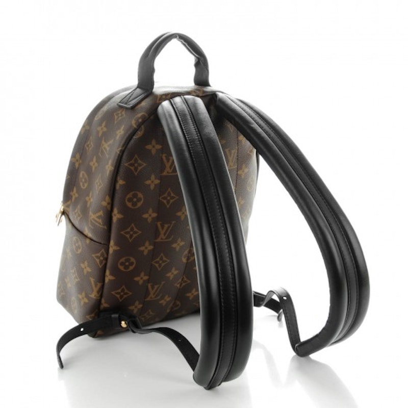 Louis Vuitton Palm Springs Monogram PM Brown