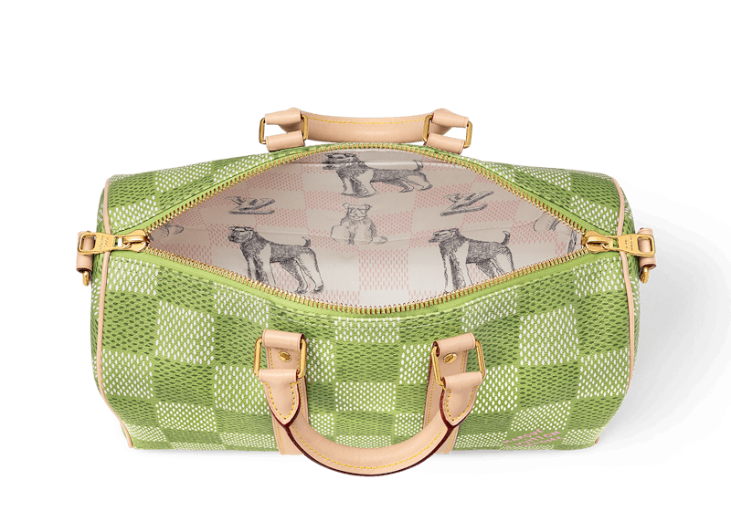 Louis Vuitton by Tyler, the Creator Keepall Bandouliere 35 Green Damier ...