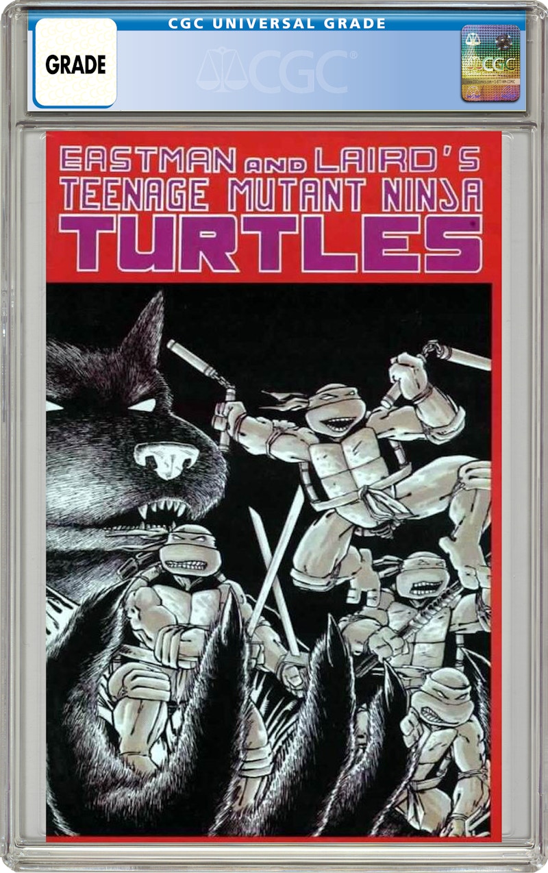 Mirage Studios Teenage Mutant Ninja Turtles (1984) #1REP.5TH Comic Book ...