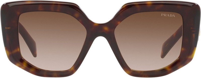Prada Square Sunglasses Tortise (PR14ZSF-2AU6S1-52) in Acetate with ...