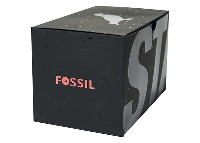 Staple x Fossil Sundial 3 Hand Automatic Movement Watch (Brown) Watch ...