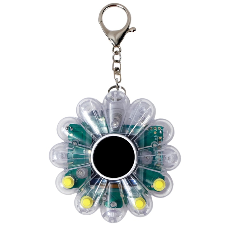 Takashi Murakami Flower Go Walk Color Game Clear - US